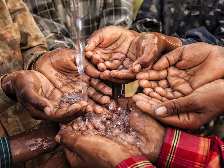 Read the Ocean Sewage Pollution Primer on Our Shared Seas