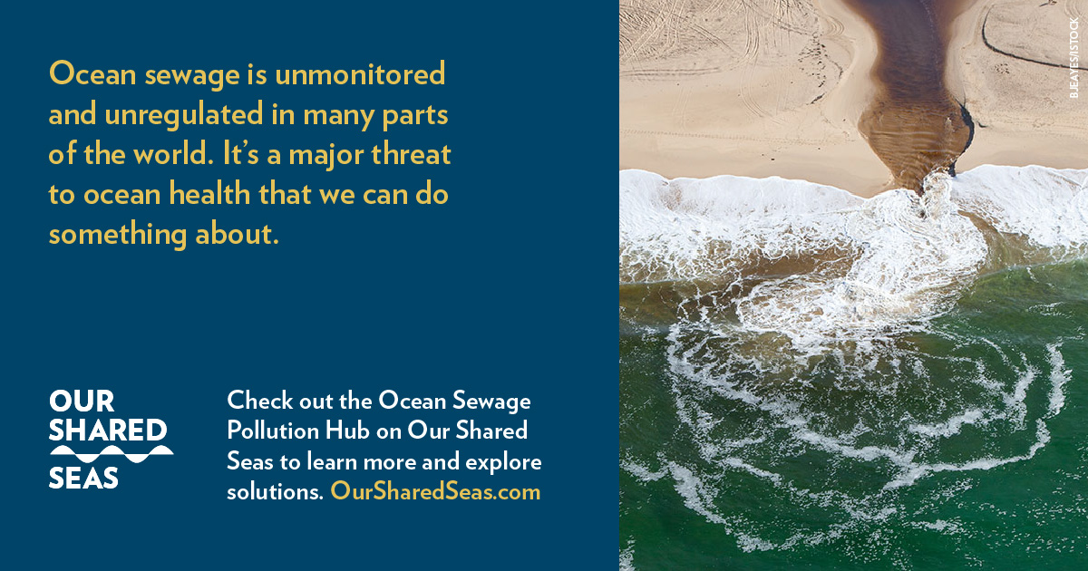 Read the Ocean Sewage Pollution Primer on Our Shared Seas
