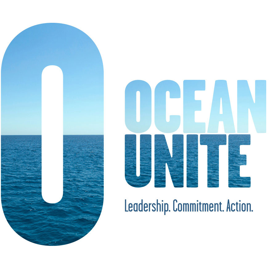 Opportunities Ahead for Ocean-Climate Action - Insights from Our Shared ...