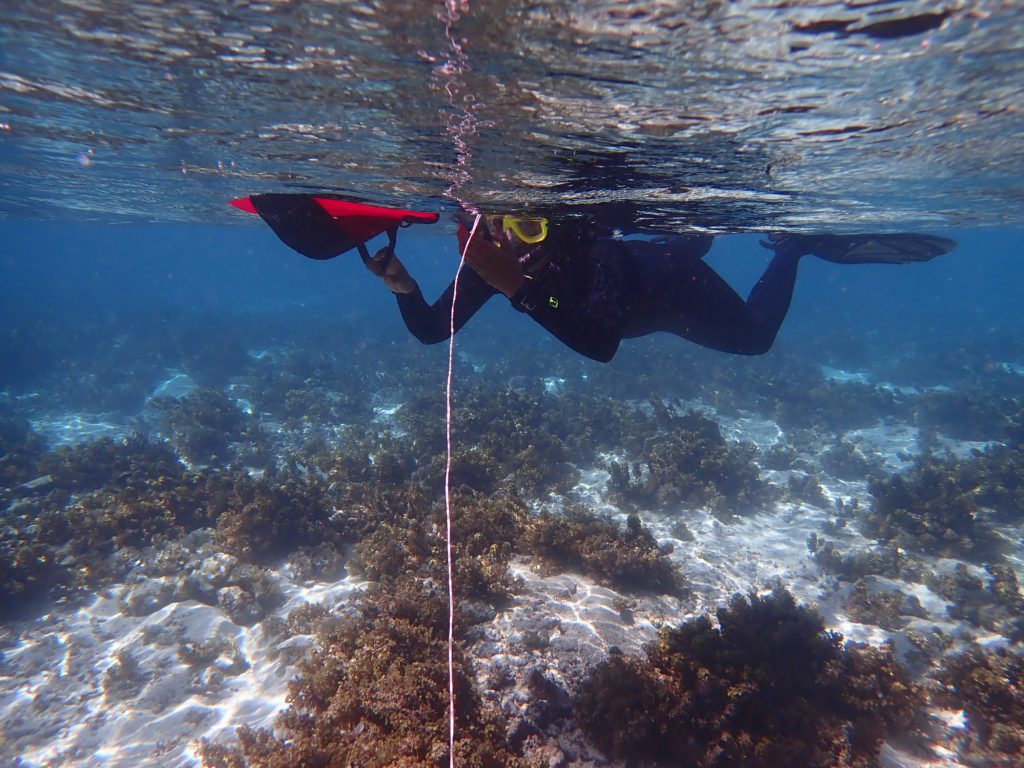 Allen Coral Atlas: The First High-Resolution Map of the World’s Coral ...