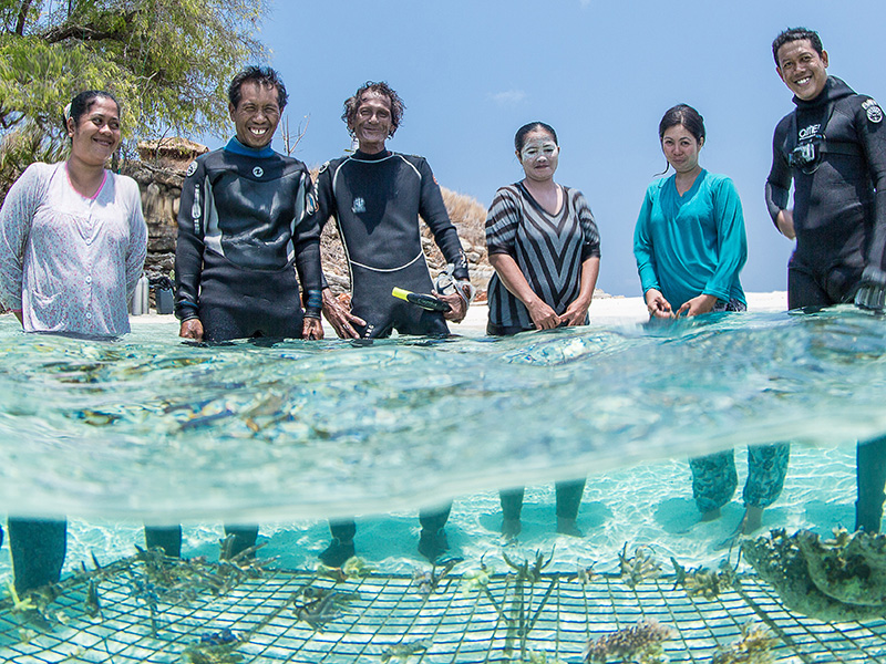 The 2022 Guide to Key Ocean Events - Insights from Our Shared Seas