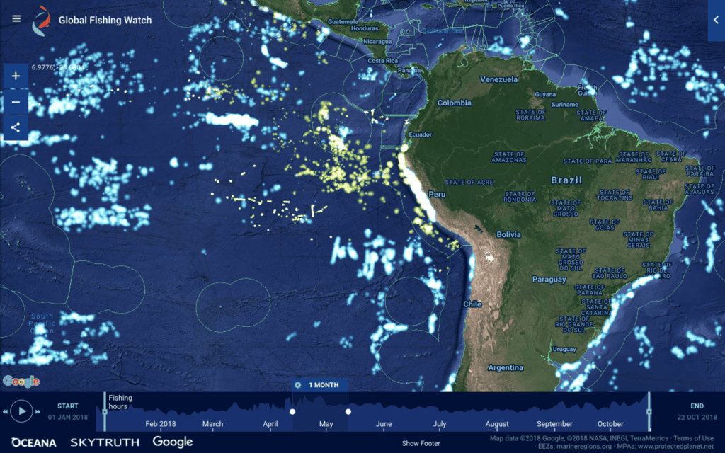 A Data Revolution in the Ocean: An Interview with Global Fishing Watch ...