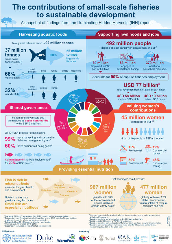 Best Practices for Funding Small-Scale Fisheries: An Interview with ...