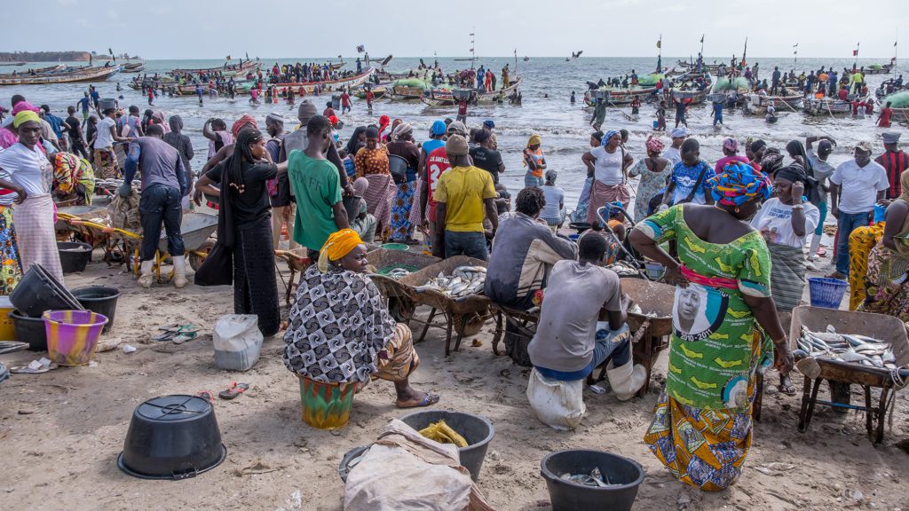 Best Practices for Funding Small-Scale Fisheries: An Interview with ...
