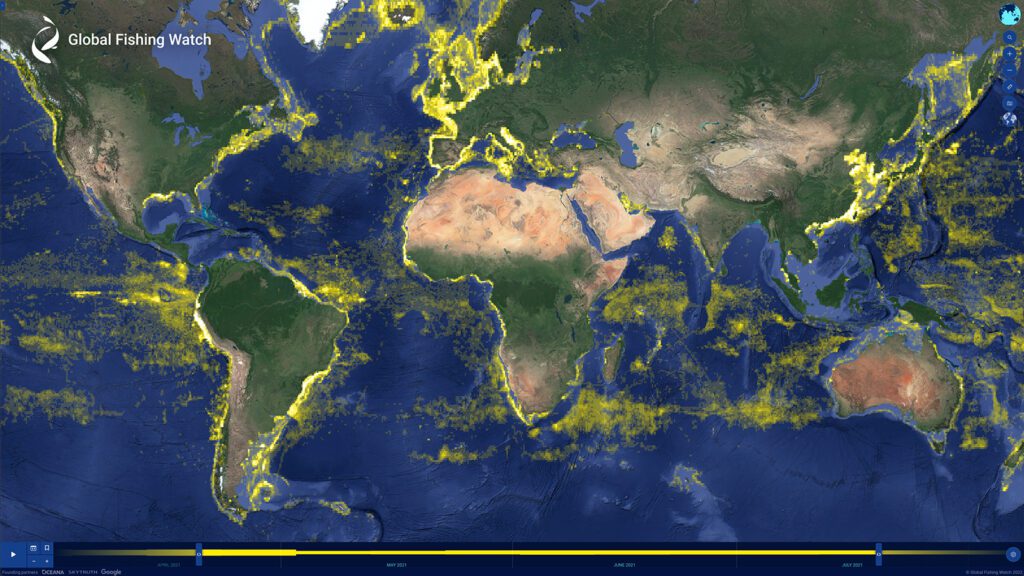 Emerging Insights on the Fisheries Transparency Movement: In ...