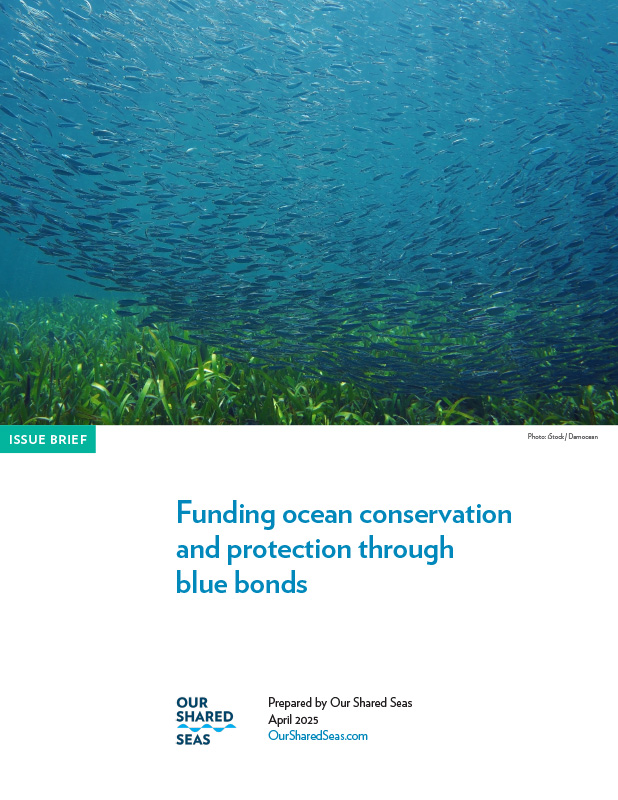 Funding Ocean Protection and Conservation Through Blue Bonds - Insights ...